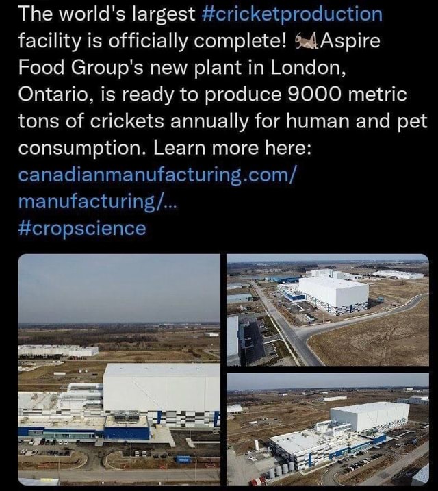 The world's largest #cricketproduction facility is officially complete ...