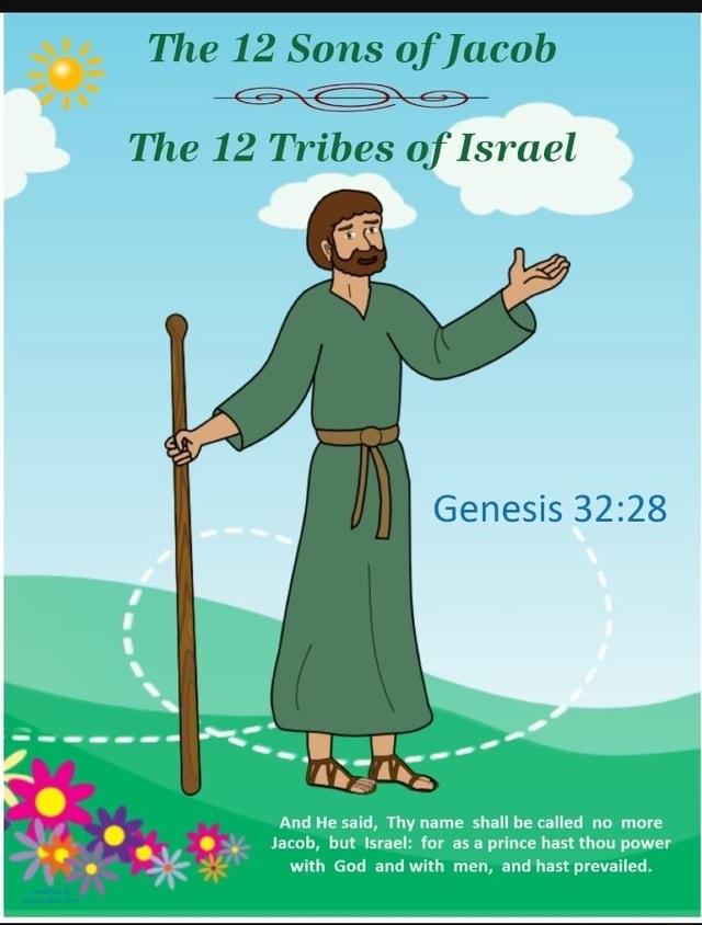 The 12 Sons of Jacob The 12 Tribes of Israel Genesis And He said, Thy ...