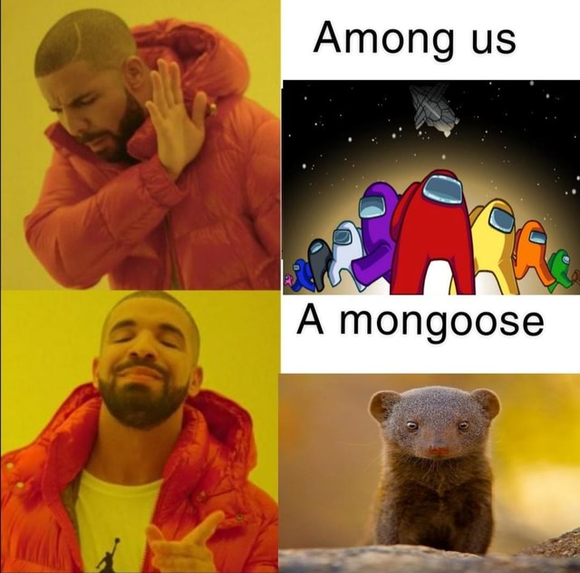 Among us A mongoose - iFunny