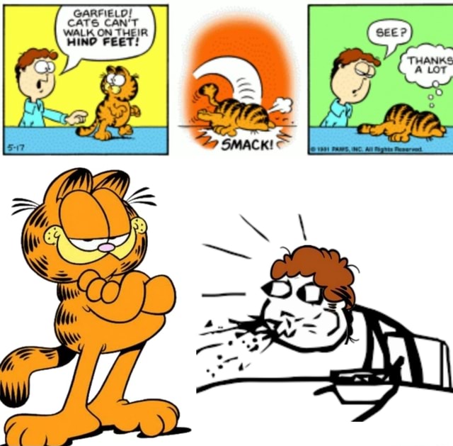 GARFIELD! CATS CAN'T WALK ON THEIR HINO FEET! - America’s best pics and ...