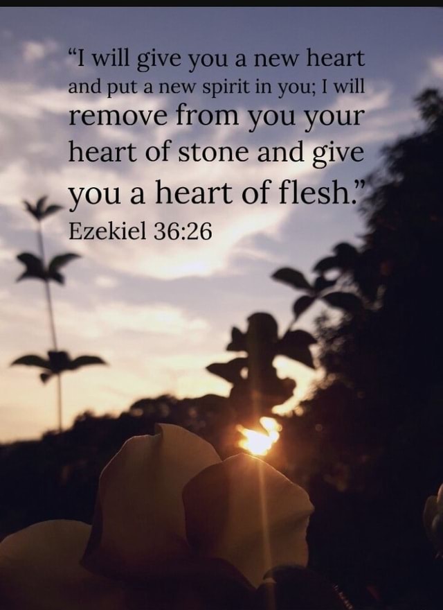Will give you a mew heart and put anew spirit im you; will remove from ...