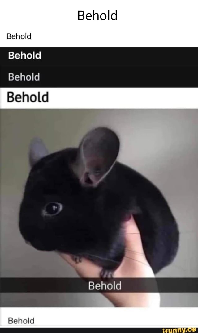 Behold Behold Behold Behold Behold Behold Behold - iFunny