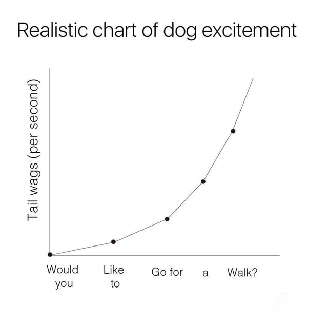 Realistic chart of dog excitement Tail wags (per (per (per (per (per ...