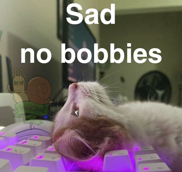 Sad no bobbies SS - iFunny