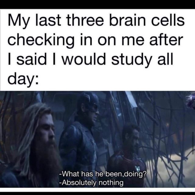 My last three brain cells checking in on me after I said I would study ...