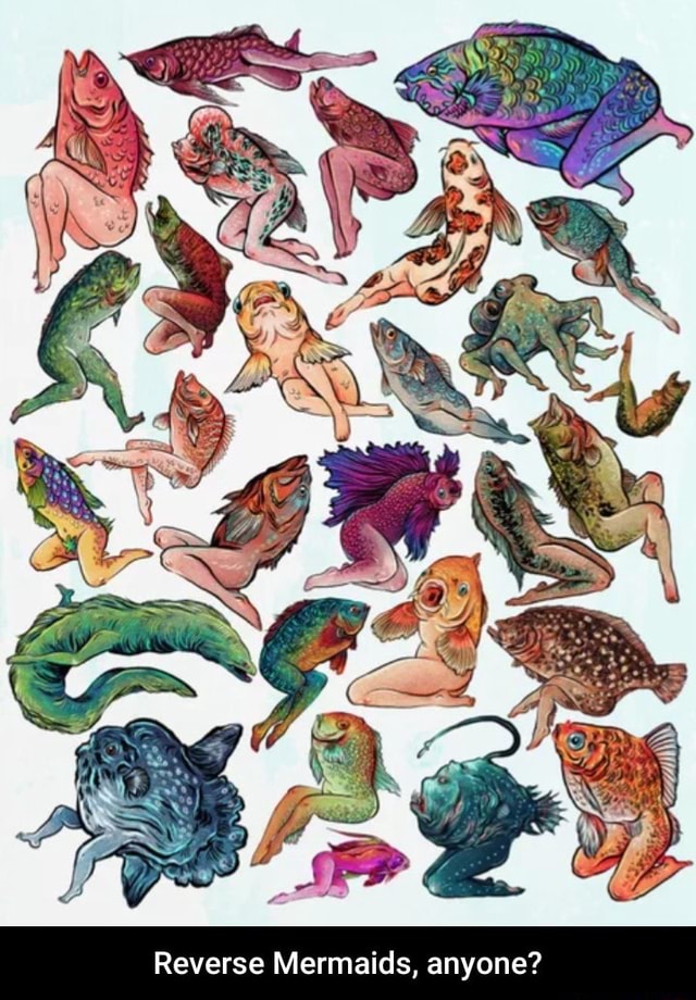 Reverse Mermaids, anyone? - Reverse Mermaids, anyone? - iFunny
