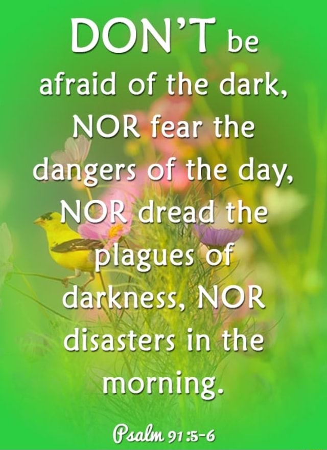 DON'T be afraid of the dark, NOR fear the dangers of the day, NOR dread ...
