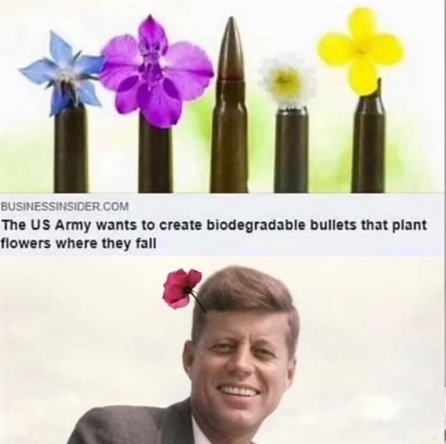 BUSINESSINSIDER COM The US Army wants to create biodegradable bullets ...