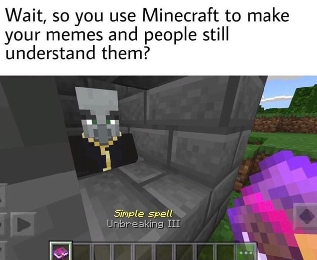 Wait, so you use Minecraft to make your memes and people still ...