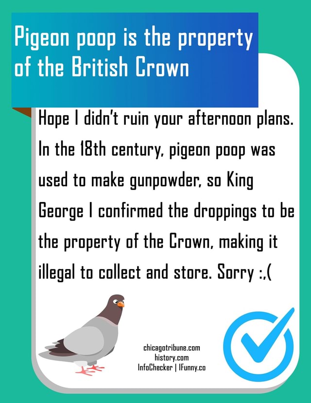 Pigeon poop is the property of the British Crown Hope I didn't ruin ...