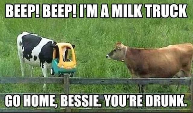 BEEP! BEEP! MILK TRUCK: GO HOME, BESSIE. YOU'RE DRUNK. - iFunny