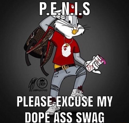EN -S PLEAS ESENCUSE MY DOPE ASS SWAG - iFunny