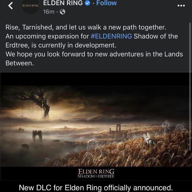 Rise, Tarnished, and let us walk a new path together. An upcoming ...