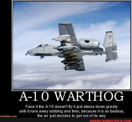A-10 WARTHOG Face it the A-10 doesn't fy it just stares down gravity ...