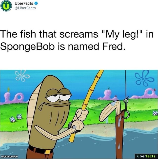 UberFacts @UberFacts he fish that screams "My leg!" in SpongeBob is ...