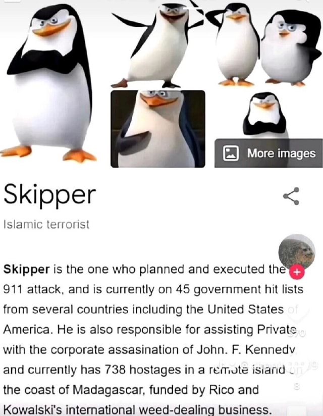 Skipper Islamic terrorist More images Skipper is the one who planned ...