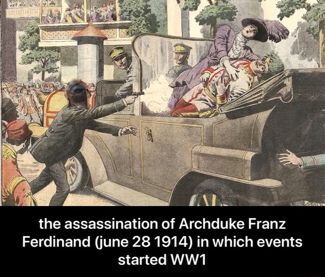The assassination of Archduke Franz Ferdinand (june 28 1914) in which ...