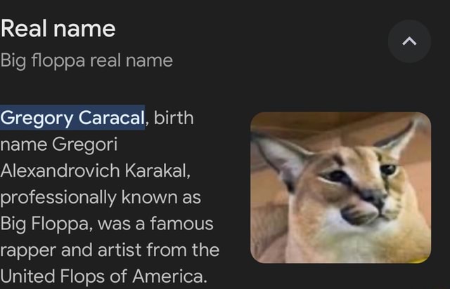 Real name Big floppa real name Gregory Caracal, birth name Gregori ...