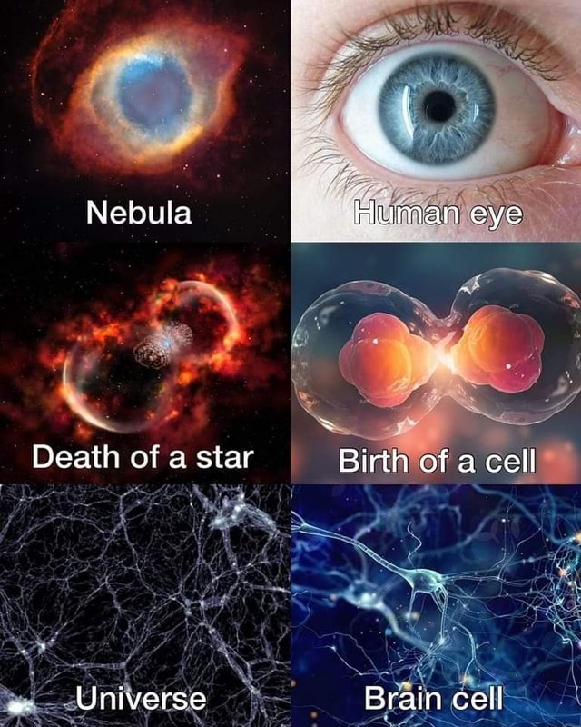 Nebula duman eye Death of a star I Birth of a cell Universe Brain cell ...