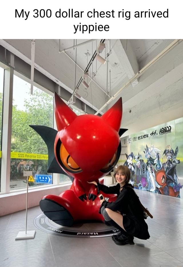 My 300 dollar chest rig arrived yippiee I I won - oor I - iFunny