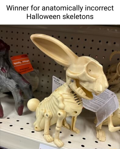 Winner for anatomically incorrect Halloween skeletons - iFunny