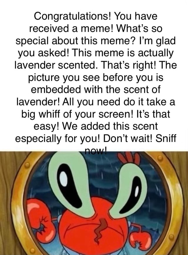 Congratulations! You have received a meme! What's so special about this ...