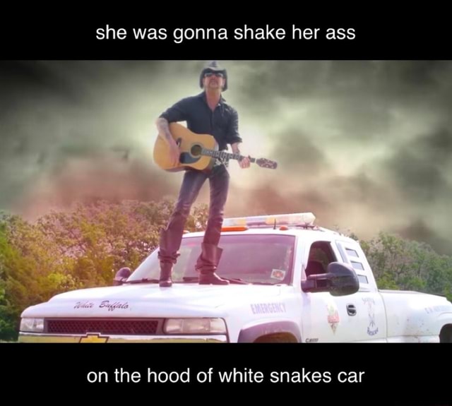 She was gonna shake her ass on the hood of white snakes car - iFunny