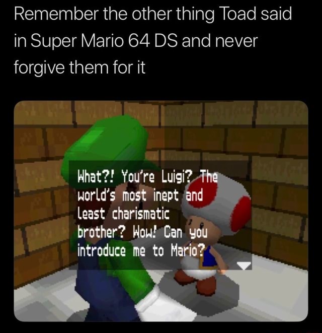Remember the other thing Toad said in Super Mario 64 DS and never ...