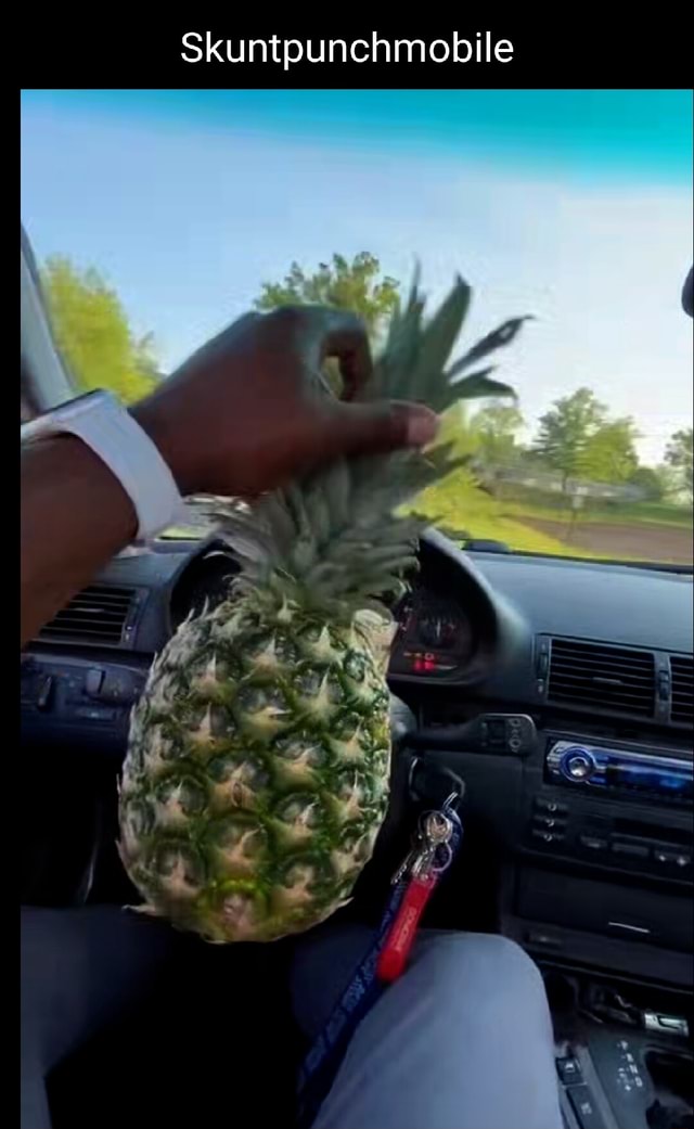 Picture memes YqesPiIyA by Speshul: 3 comments - iFunny