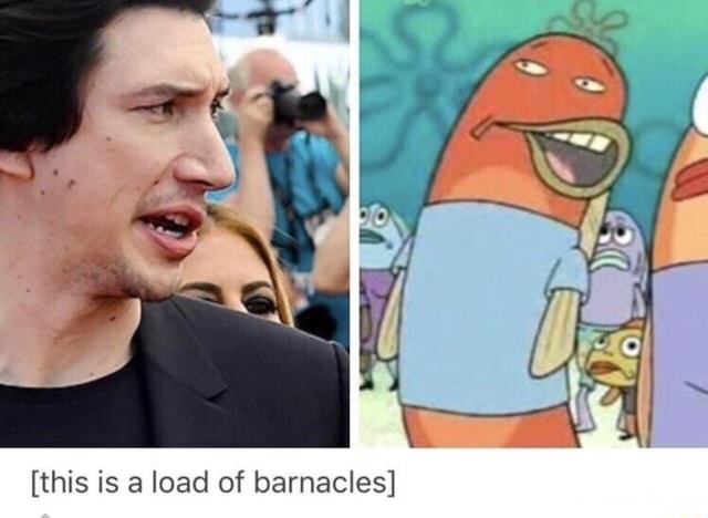 [this is load of barnacles] - iFunny