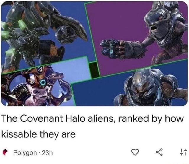 The Covenant Halo aliens, ranked by how kissable they are @ Polygon ...