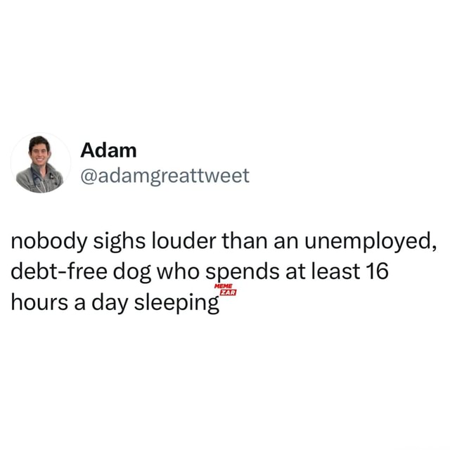 Nah this is straight facts 🤣 Snoozing like they work 60 hours #meme # ...