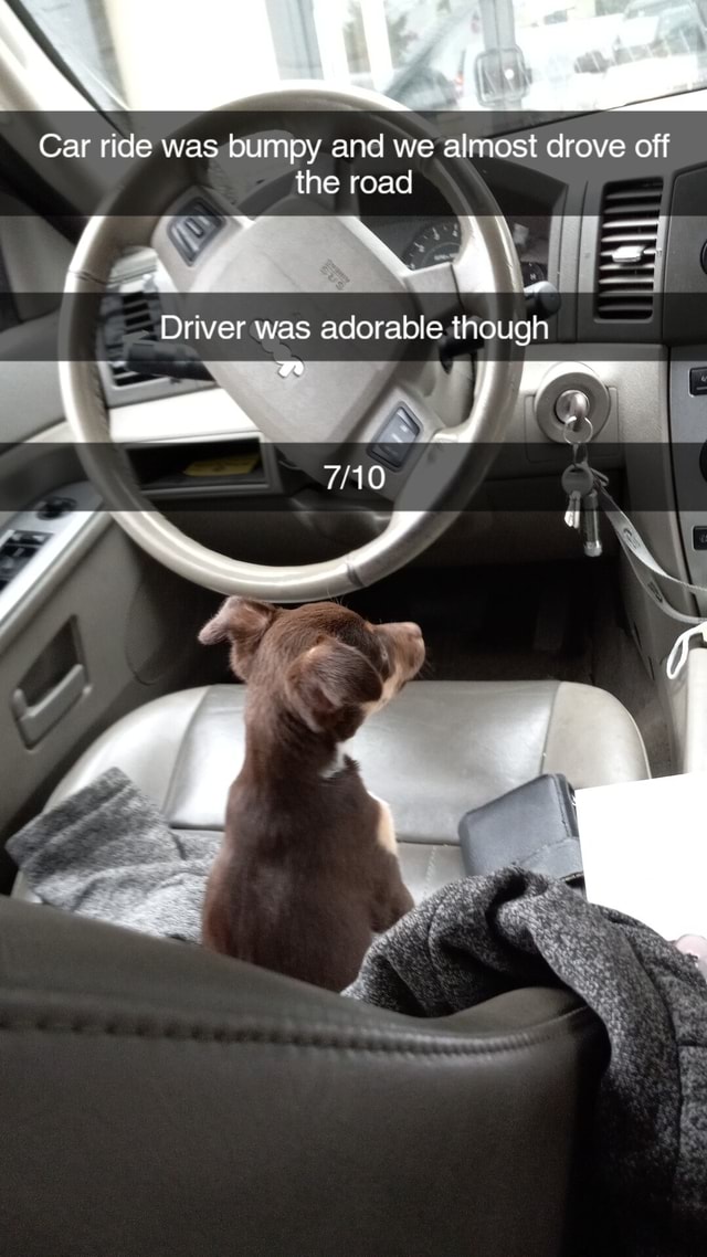 Car ride was, bumpy and we almost drove off the road OWE Driver was ...