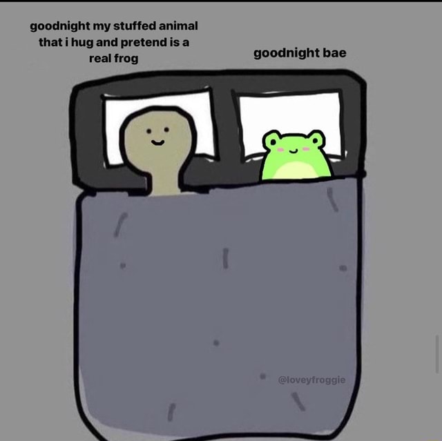 Goodnight my stuffed animal that i hug and pretend is a real frog ...