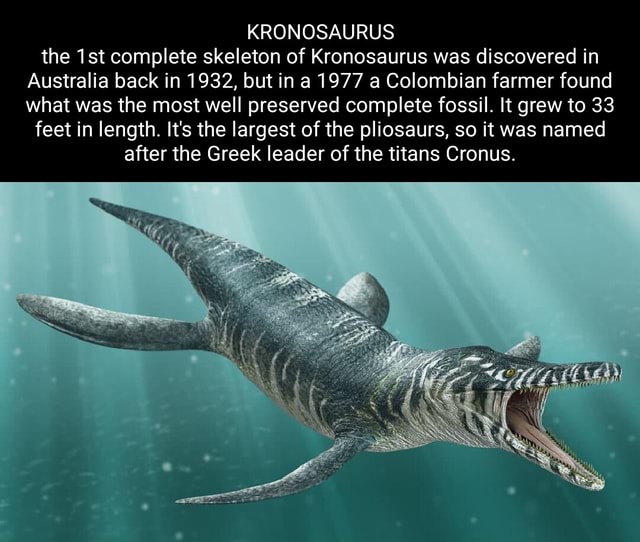 KRONOSAURUS the complete skeleton of Kronosaurus was discovered in ...