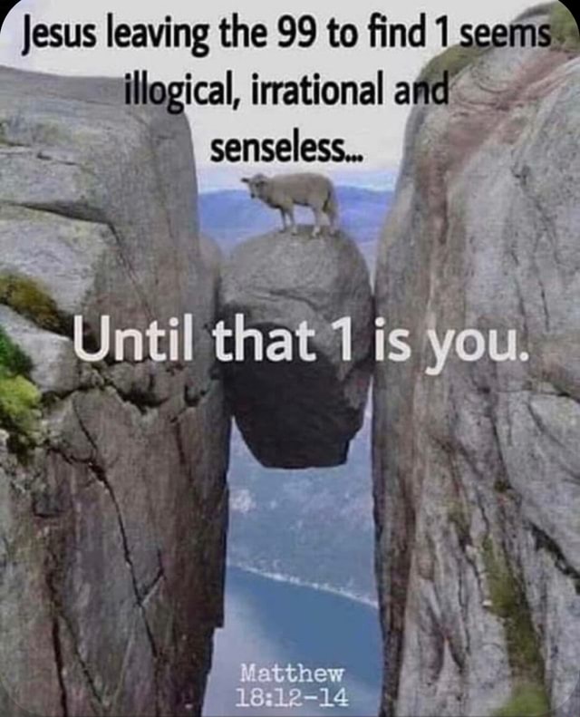 Jesus leaving the 99 to find 1 seems that 14 - iFunny