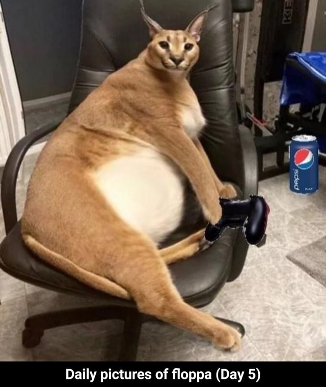 Daily pictures of floppa (Day 5) - Daily pictures of floppa (Day 5 ...