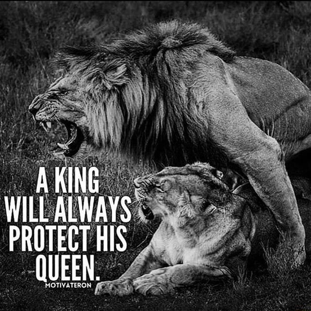 WILL ALWAYS PROTECT HIS QUEEN, - iFunny