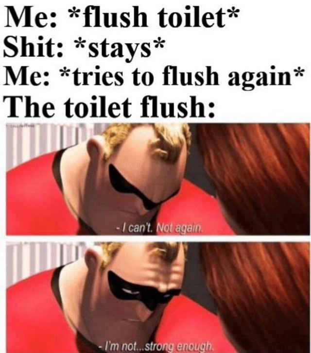 Me: *flush toilet* Shit: *stays* Me: *tries to flush again* The toilet ...