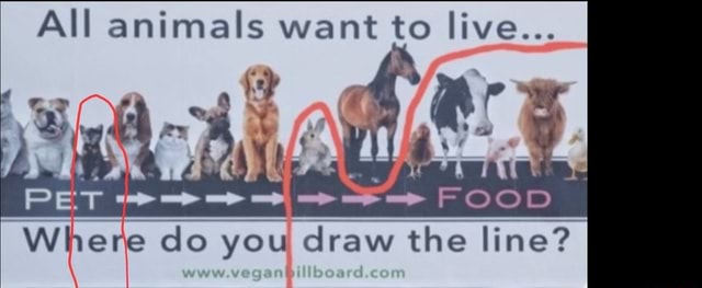 All animals want to live... FOOD Where do you draw the line? - iFunny