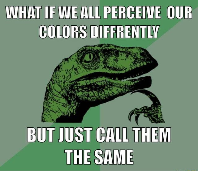 WHAT IF WE ALL PERCEIVE OUR COLORS DIFFRENTLY BUT JUST CALL THEM THE ...
