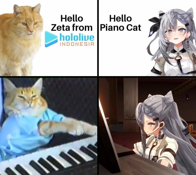 Hello Zeta from holalive Hello Piano Cat - iFunny