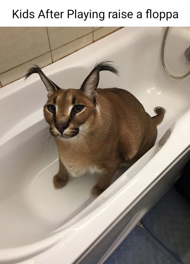 Kids After Playing raise a floppa - iFunny