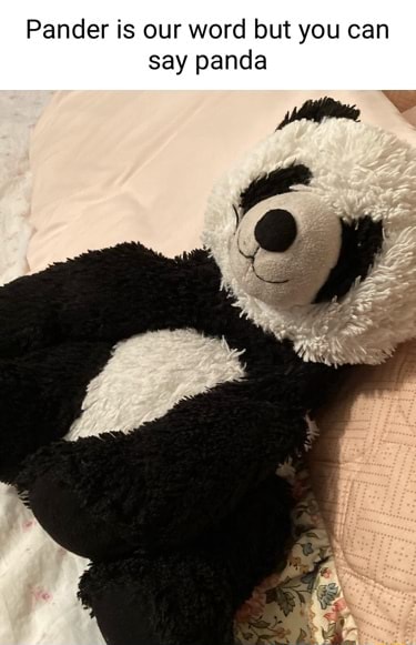 Pander is our word but you can say panda - iFunny