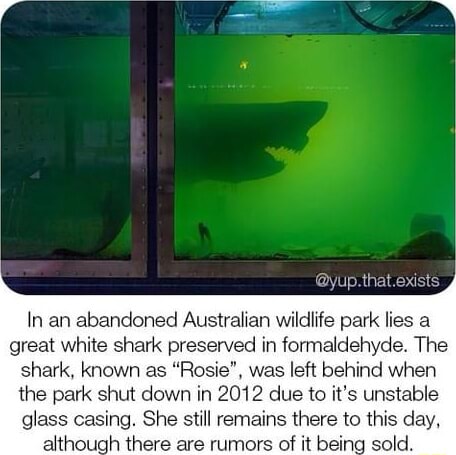 @yup.that.exists In an abandoned Australian wildlife park lies a great ...