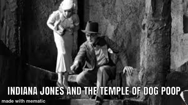 INDIANA JONES AND THE TEMPLE OF DOG POOP. - iFunny