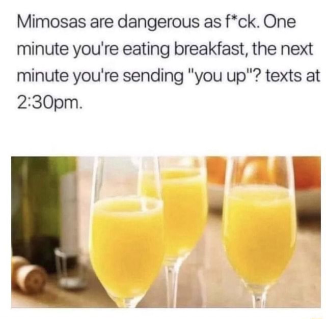 Recycled memes - Mimosas are dangerous as f*ck. One minute you're ...