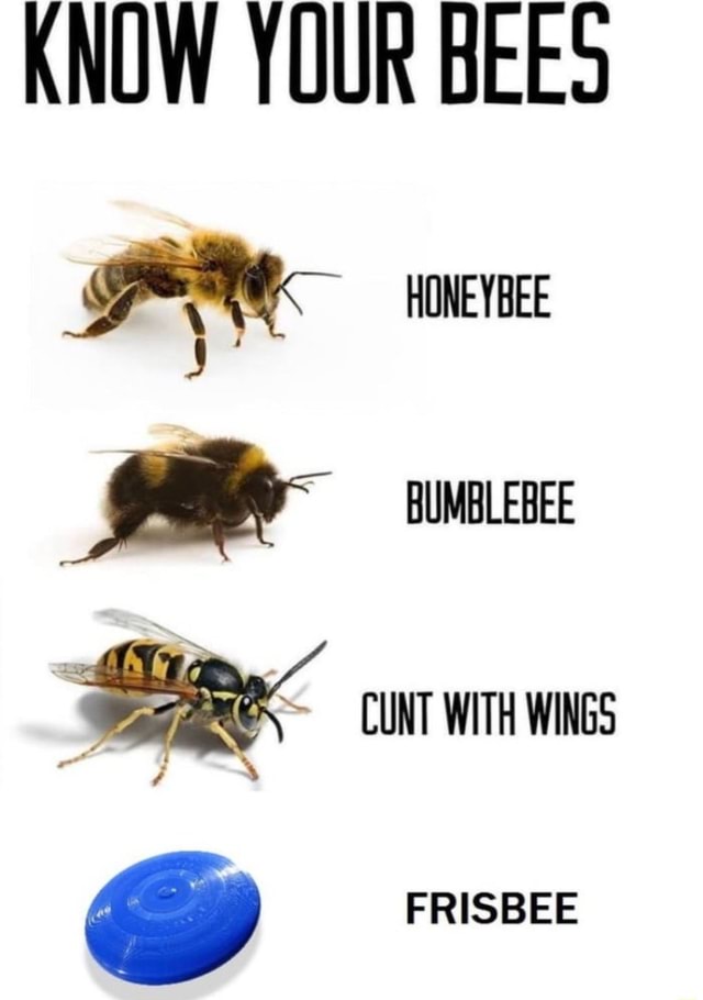 KNOW YOUR BEES - iFunny