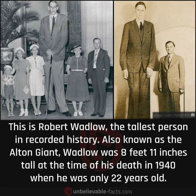 This is Robert Wadlow, the tallest person in recorded history. Also ...