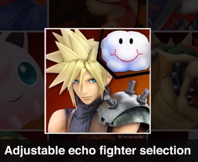 Adjustable echo fighter selection - iFunny
